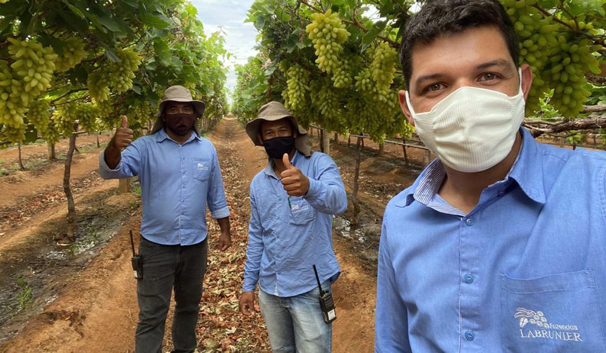 Missão, visão e valores - El Ciruelo