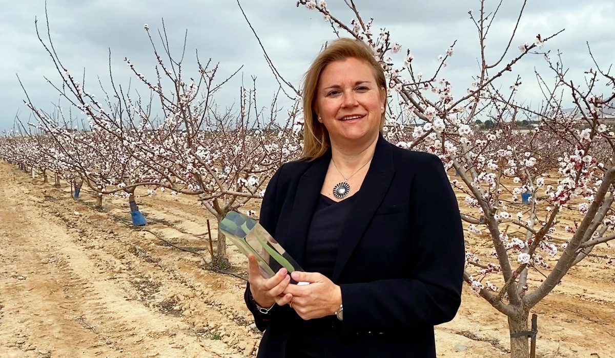 Misión, visión y valores - El Ciruelo